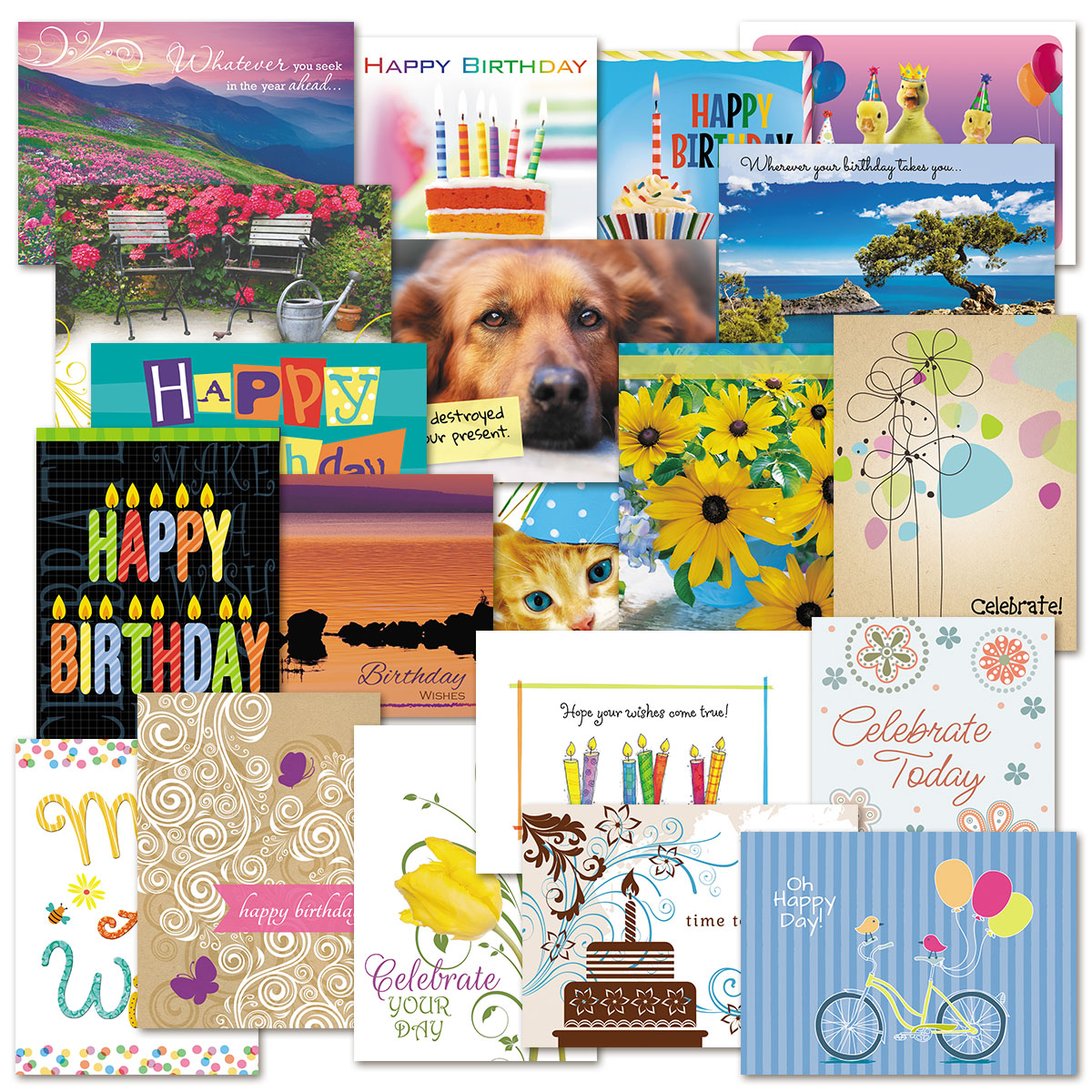 Mega Birthday Greeting Cards Value Pack 614077 | Lillian Vernon