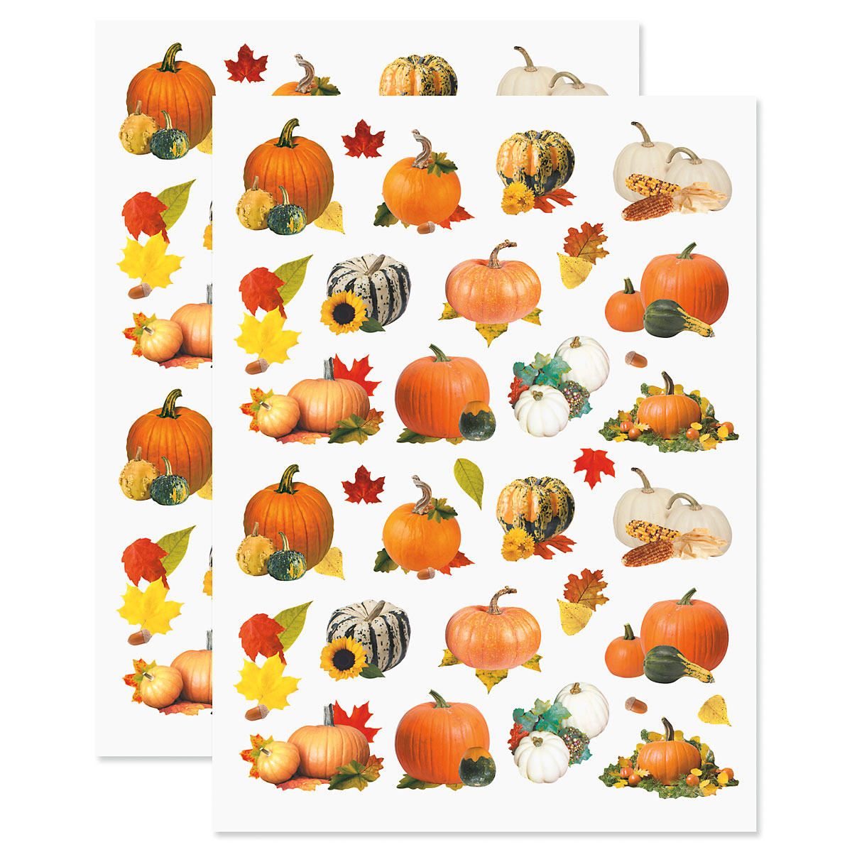 Pumpkin Fall Stickers | Lillian Vernon