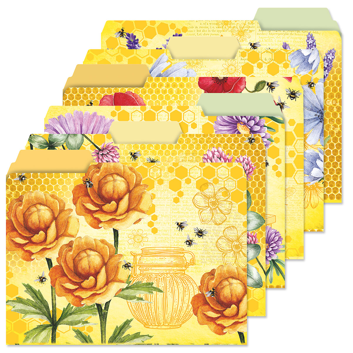 Bee Friends File Folders Value Pack | Lillian Vernon