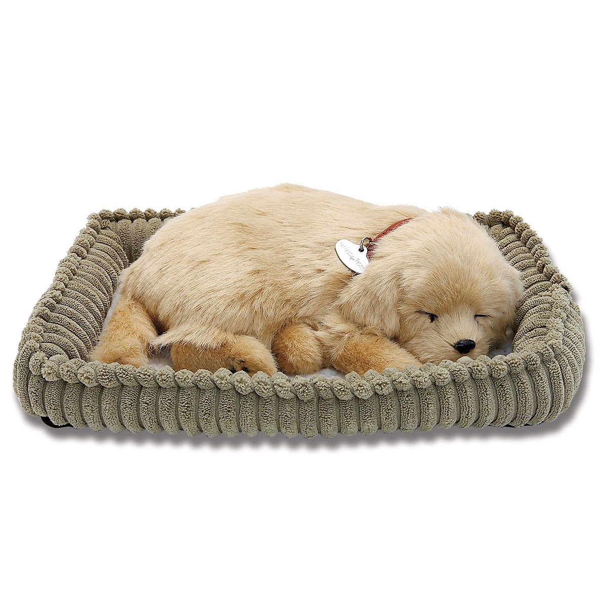 Personalized Perfect Petz Golden Retriever | Lillian Vernon