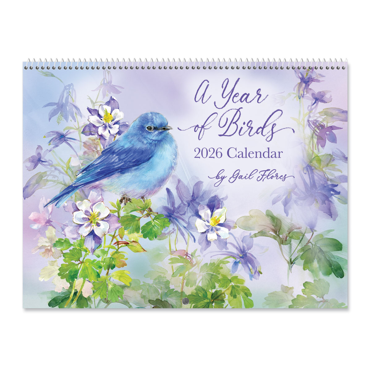 A Year of Birds Wall 2026 Calendar | Lillian Vernon