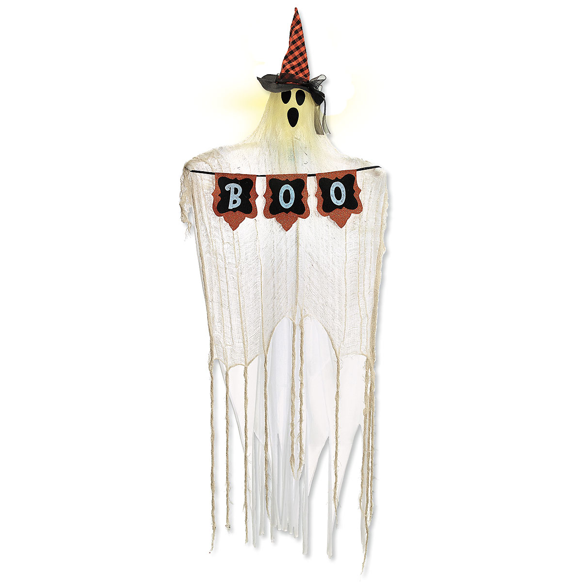 Hanging Animated Boo Ghost | Lillian Vernon