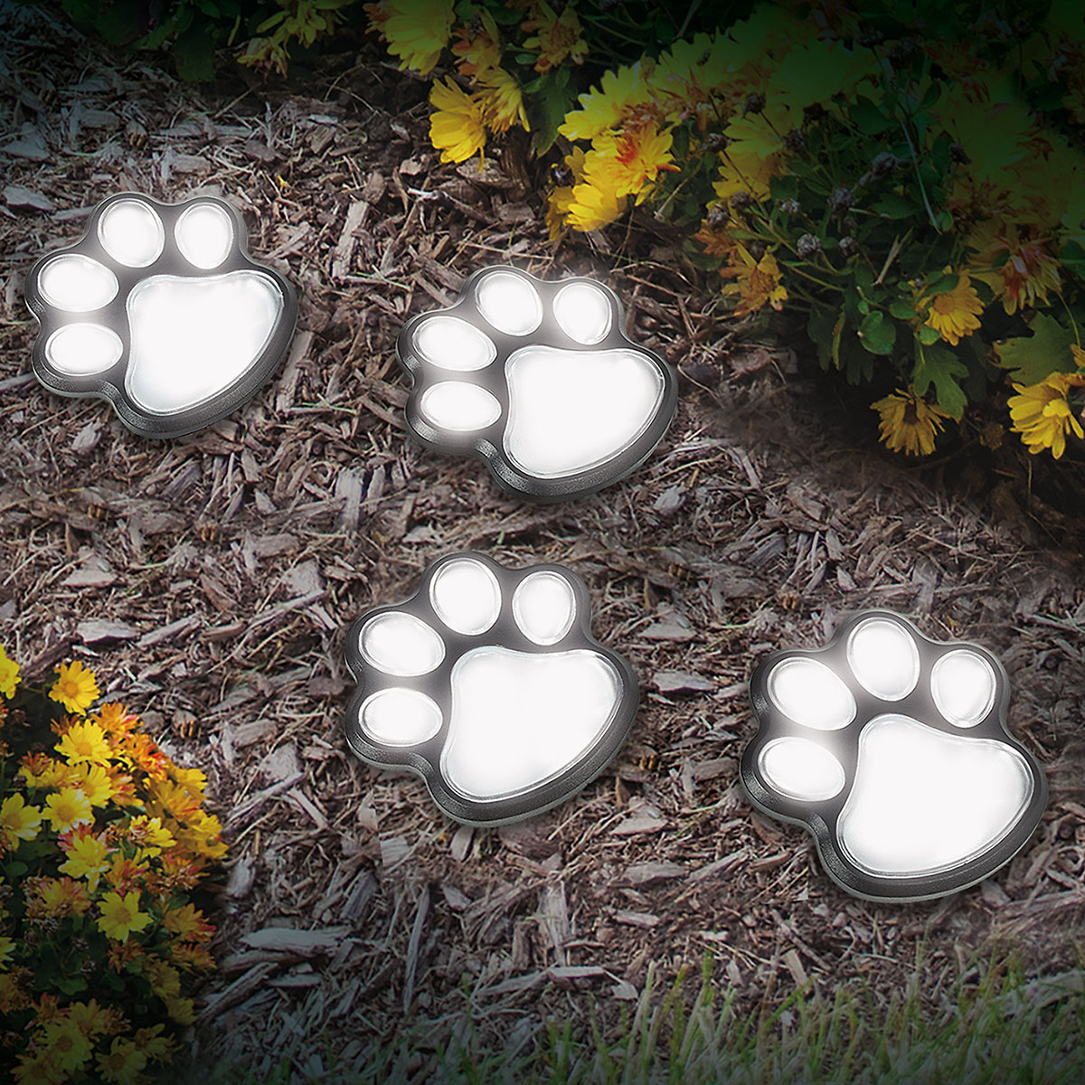 4 Solar Paw-Print Lights | Lillian Vernon