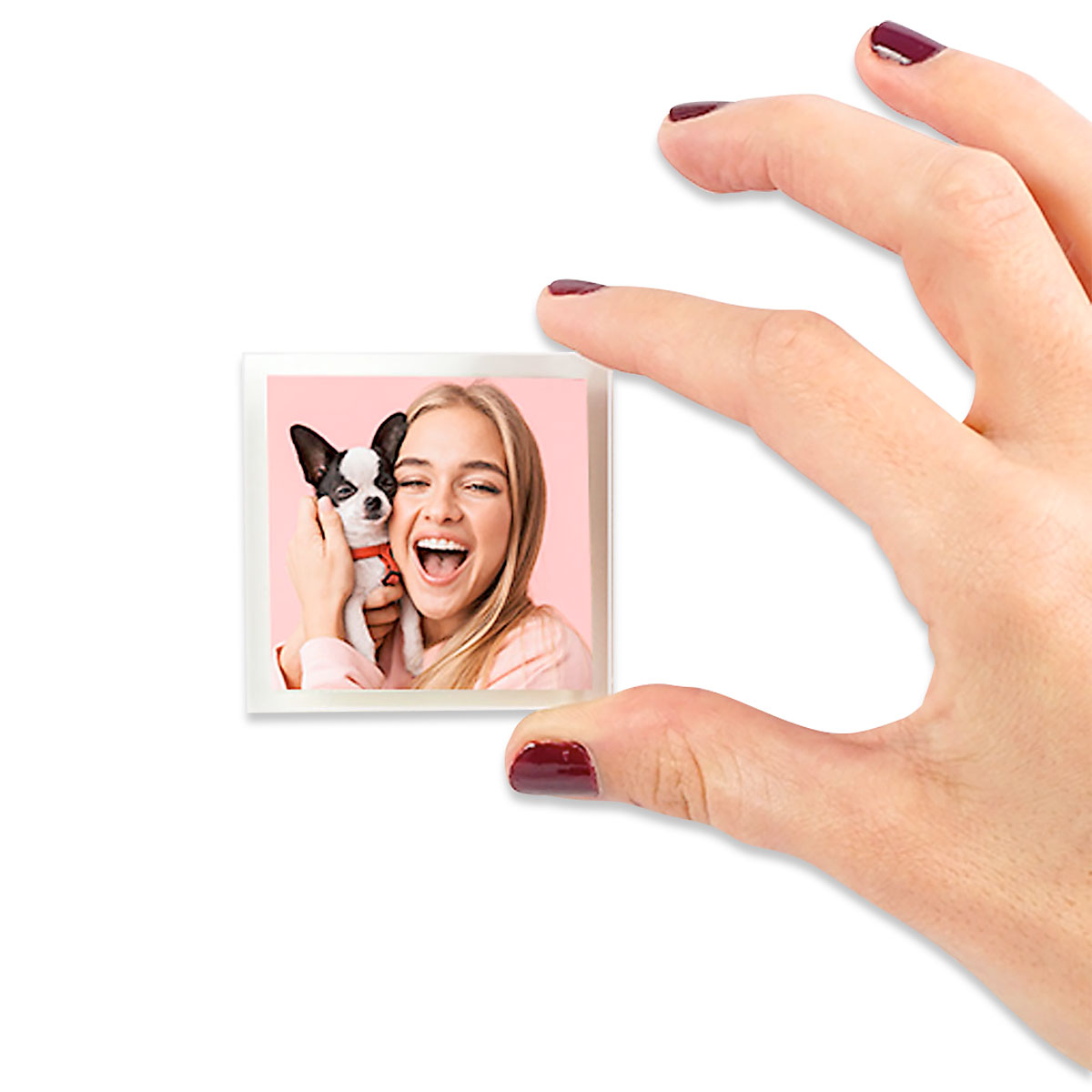 Acrylic 2x2 Photo Stickable | Lillian Vernon