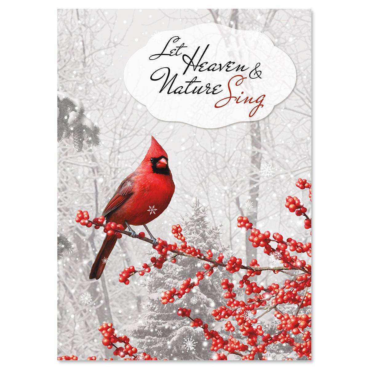 Winterberry Cardinal Religious Christmas Cards | Lillian Vernon